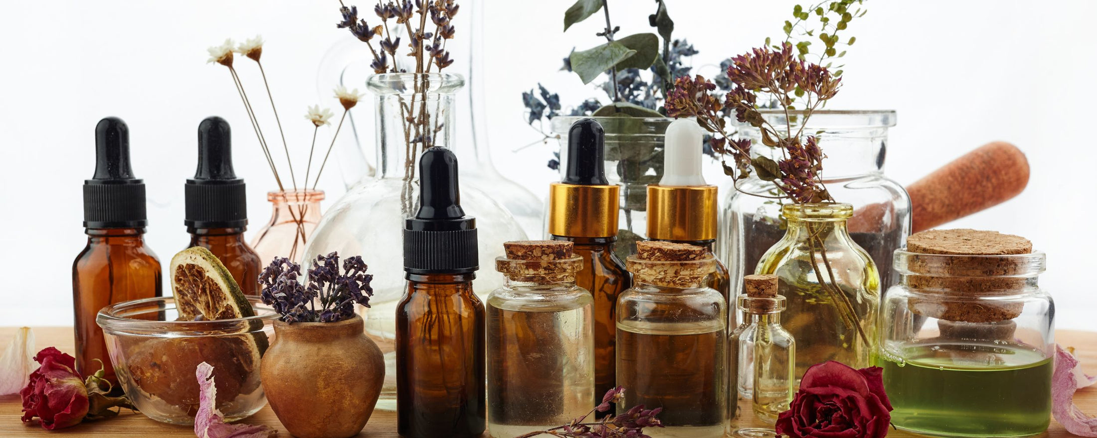 Olfactory Guide